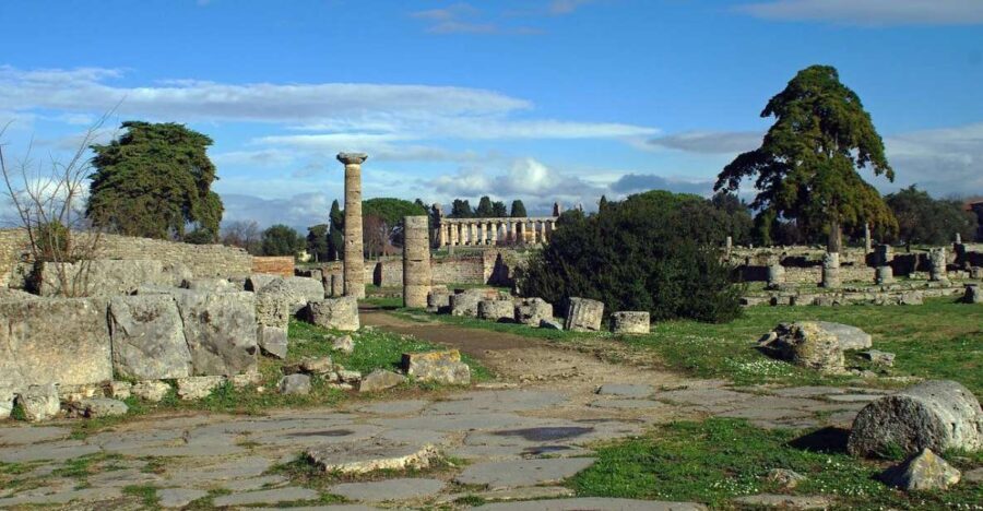 SALERNO: Guided Visit at Paestum Ruins and Museum - The Value of the Experience