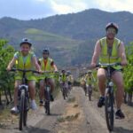 Salou: Bike Tour with Wine Tasting - Who Is This Tour Best For?