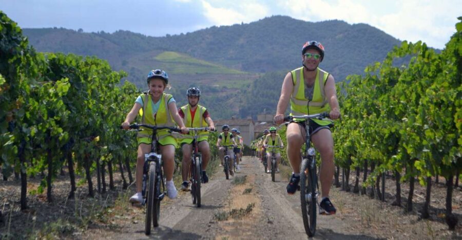 Salou: Bike Tour with Wine Tasting - Who Is This Tour Best For?