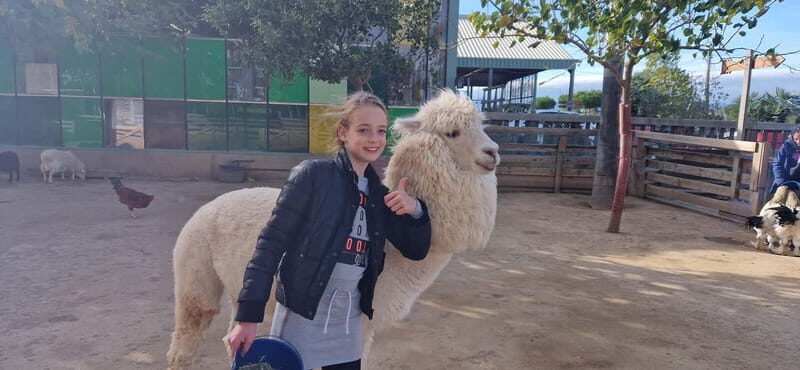 Salou, Cambrils, or Pineda: Animal Farm Roundtrip Transfer - Who Should Consider This Tour?