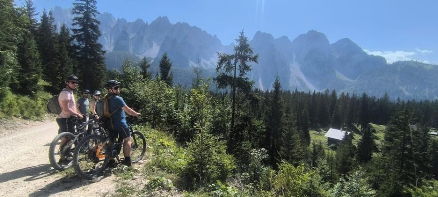 Salzkammergut: Guided e-bike tour to the alpine pastures in Gosau and Hallstatt - What the Tour Looks Like