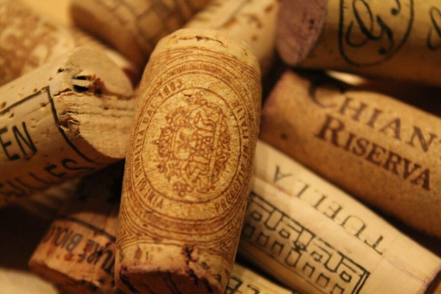 San Gimignano: Chianti wine tasting experience - What Travelers Are Saying