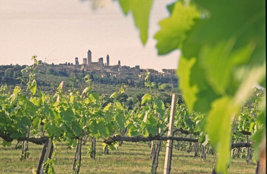 SAN GIMIGNANO: DEGUSTAZIONE CON VISTA SULLE TORRI - Who Will Love This Experience