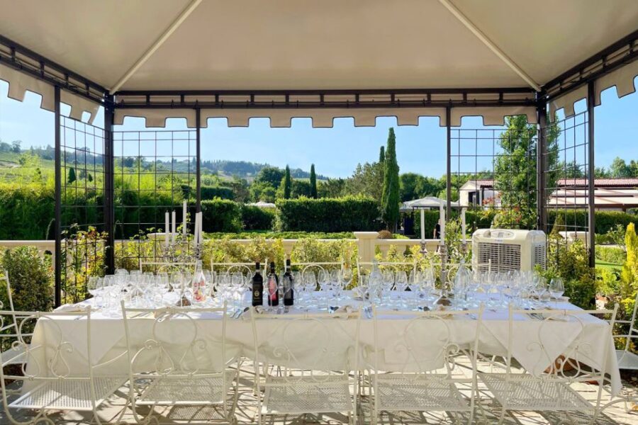 San Gimignano Lunch in terrace with vineyards view - What to Expect During the Lunch