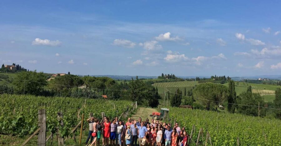 San Gimignano: Premium Wine Tour with Lunch - What Makes This Tour Special