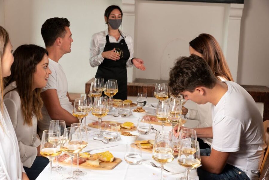 San Gimignano: Professional Wine Tasting Experience - What Makes This Tour Stand Out?