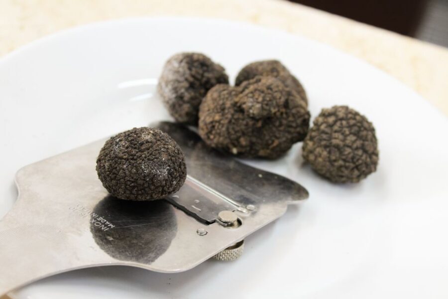 San Gimignano: Truffle Cooking Class with Wine Tasting - An In-Depth Look at the Experience