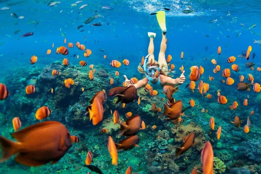 San Juan Beach, Cabo Huertas: Bike tour & snorkel with drink - The Experience in Practice