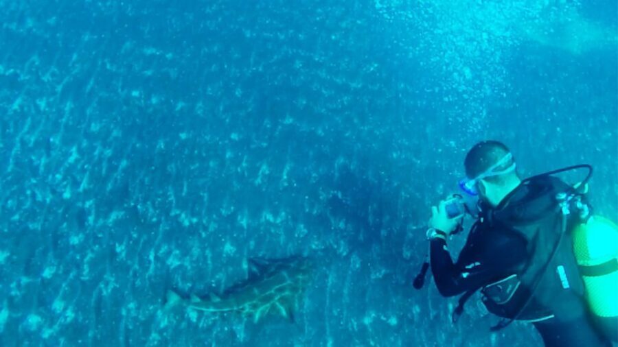San Miguel de Abona: 2Dive Package - The Dive Experience and Itinerary