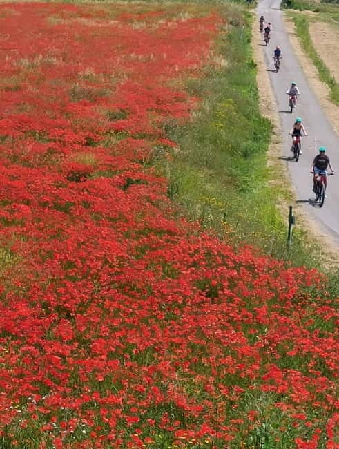San Miniato: e-bike tour (truffle hills) and brunch - What Makes This Tour Stand Out?