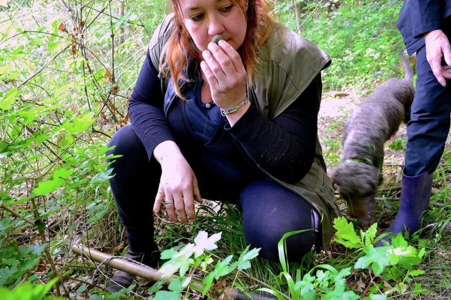 San Miniato: Truffle Hunting, Food, and Gourmet Experience - The Truffle Hunt Experience