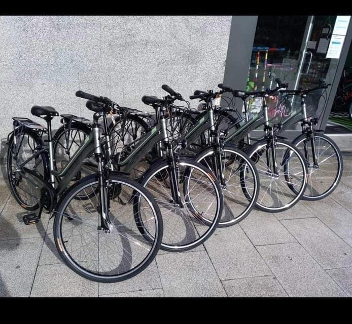 San Sebastian: Bike tour with FREE snack & drink! - A Detailed Look at the Itinerary