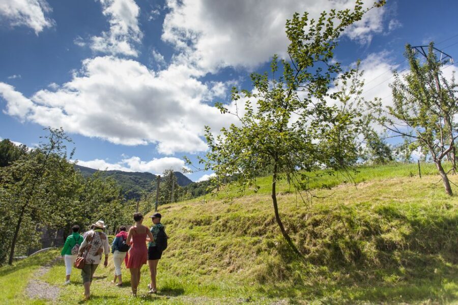 San Sebastián: Traditional Cider House Tour with Lunch - Value and Practicalities
