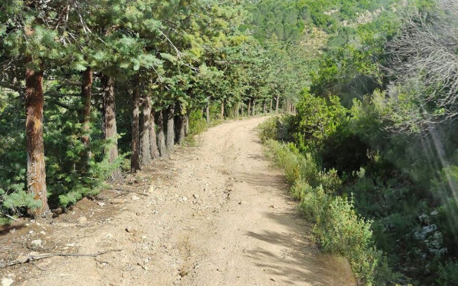 San Teodoro: Rio Pitrisconi Jeep and Hiking Tour - Pricing and Value