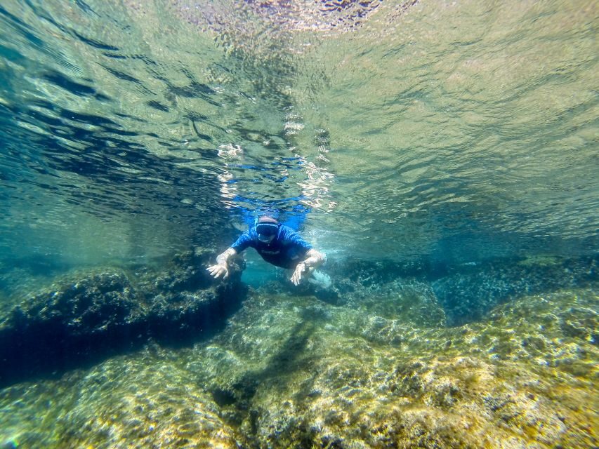 San Terenzo: Portovenere Natural Park Snorkeling Trip - The Experience: The Itinerary and Atmosphere