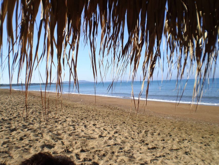 Sandy Shores Shuttle: Your Gateway to Kourouta Beach - What’s Included and What’s Not