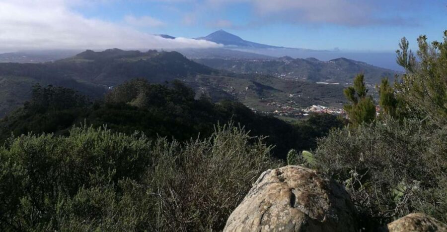 Santa Cruz de Tenerife: 2-Hour Hiking Tour in Anaga Forest - Why This Tour Is Such a Good Deal
