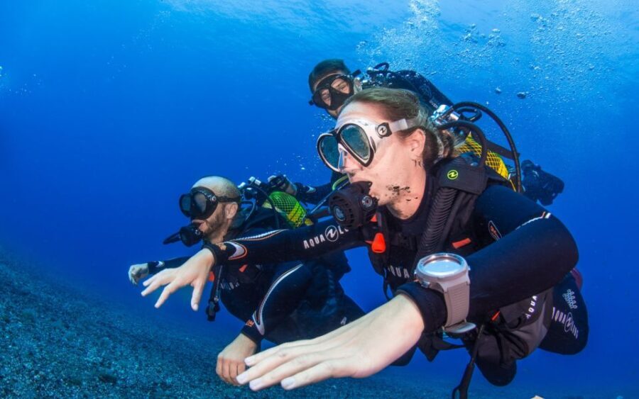 Santa Cruz de Tenerife: Advanced introductory course - Why Travelers Love This Tour