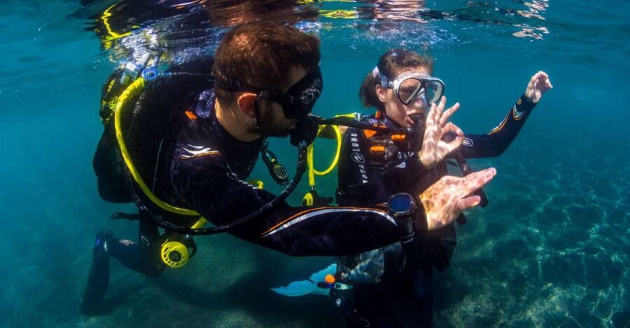 Santa Cruz de Tenerife: Beginner's Diving & Introduction - What’s Included and Why It Matters
