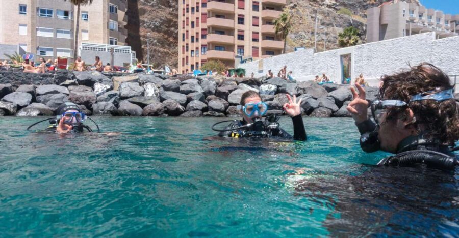 Santa Cruz de Tenerife: PADI Introductory Dive - What to Expect During Your Tour