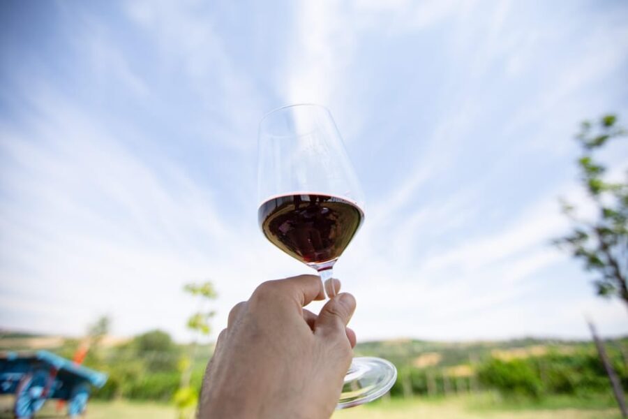 Santa Maria della Versa: Grape Harvest & Wine Tasting Tour - Final Thoughts: Is It Worth It?