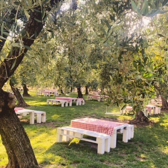 Santa Maria Imbaro: La Vinarte Picnic Under the Moonlight - Frequently Asked Questions