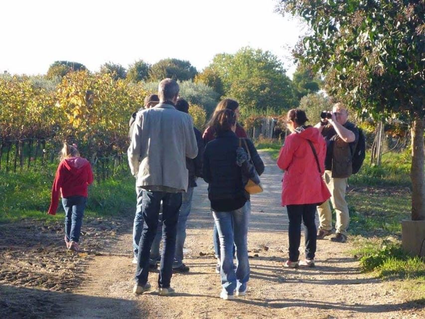 Santa Maria Imbaro: La Vinarte Wine tour - The Tasting Experience