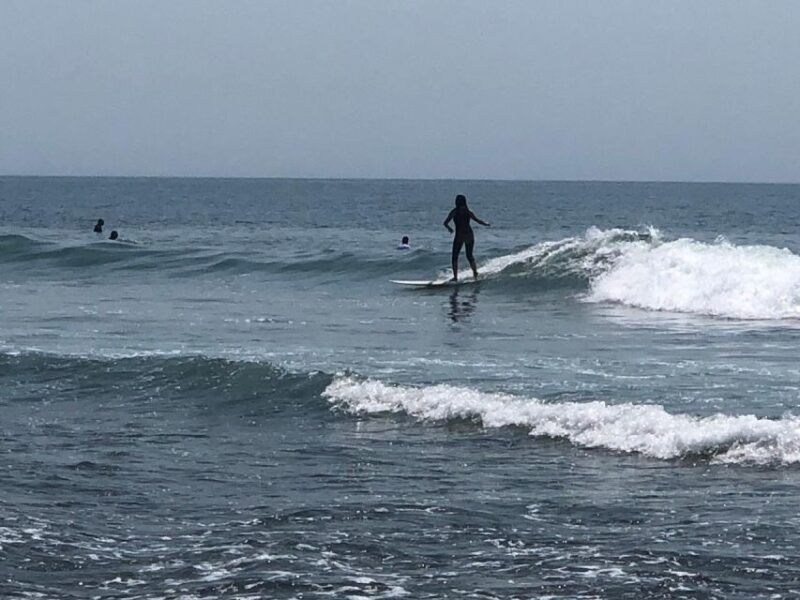 Santa Monica: Surfing Day Trip with Lunch - Key Points