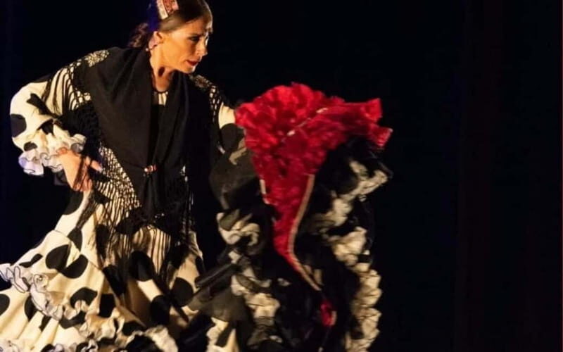 Santa Pola Historical and Landscape and Flamenco with Show and Dinner - A Closer Look at the Santa Pola Tour Experience