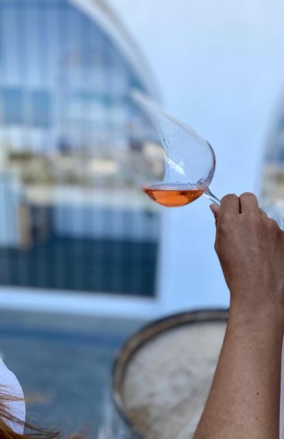 Santorini Fun day: Horseriding- Wine Tasting - Tapas - The Practicalities and Value