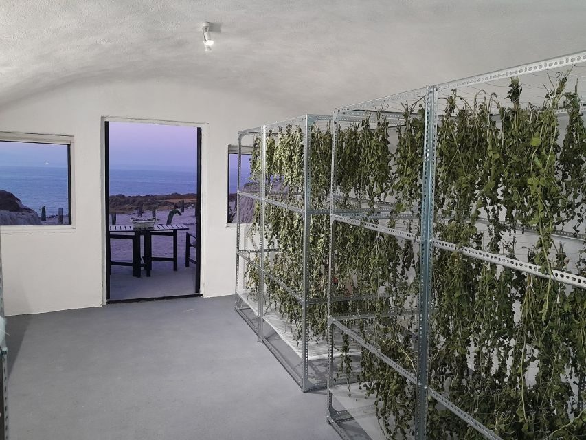 Santorini: Private Agri-Educational Visit to an Organic Farm - The Itinerary Breakdown