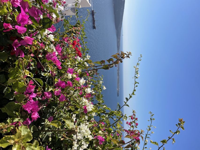 Santorini: Private Tour of the Famous Blue Domes and Caldera - What Makes This Tour Stand Out?