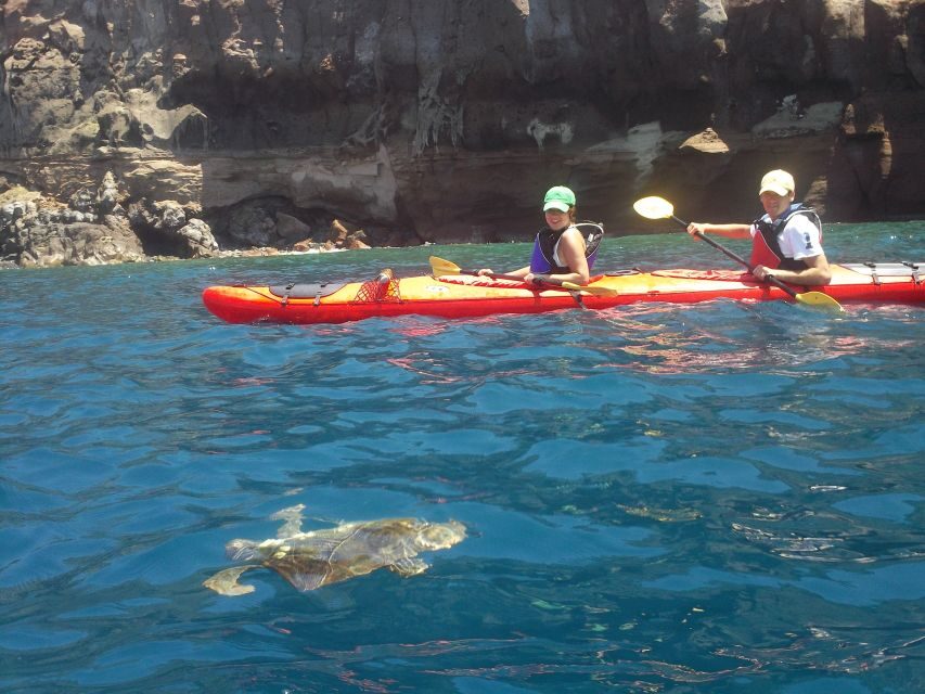 Santorini: South Sea Kayaking Tour with Sea Caves and Picnic - What Makes This Tour Special?