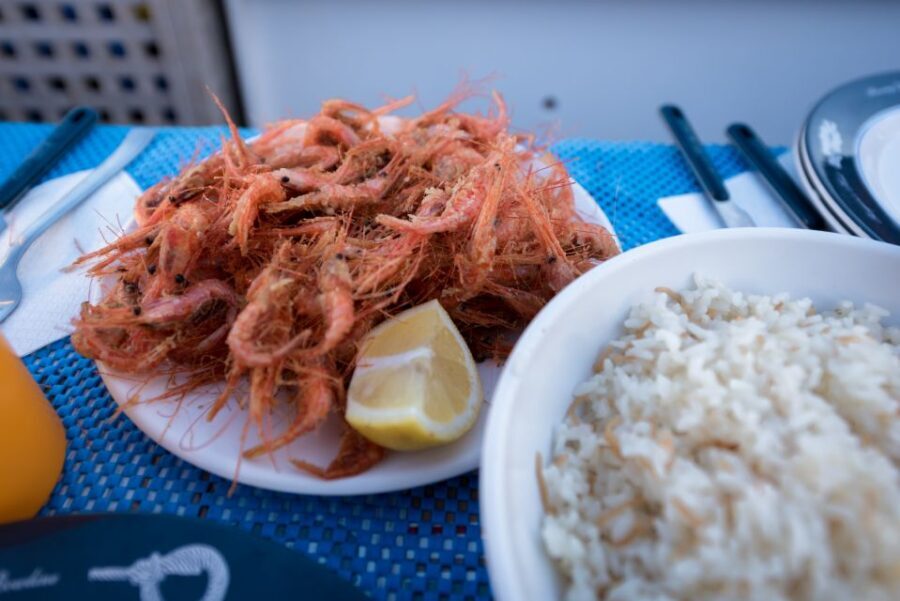 Santorini: Traditional Fishing Trip and Fresh Fish Lunch - The Heart of the Tour: Traditional Fishing Techniques