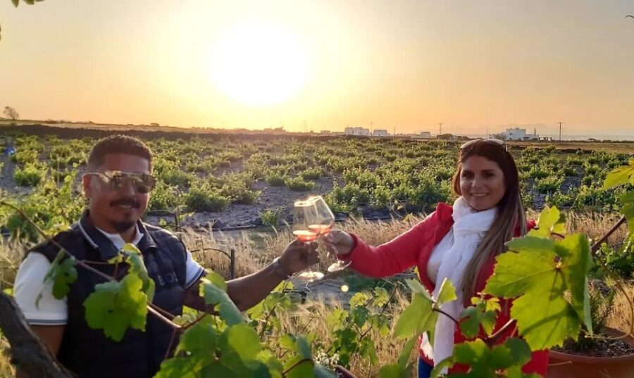 Santorini: Wine Tasting Tour - The Value of the Experience