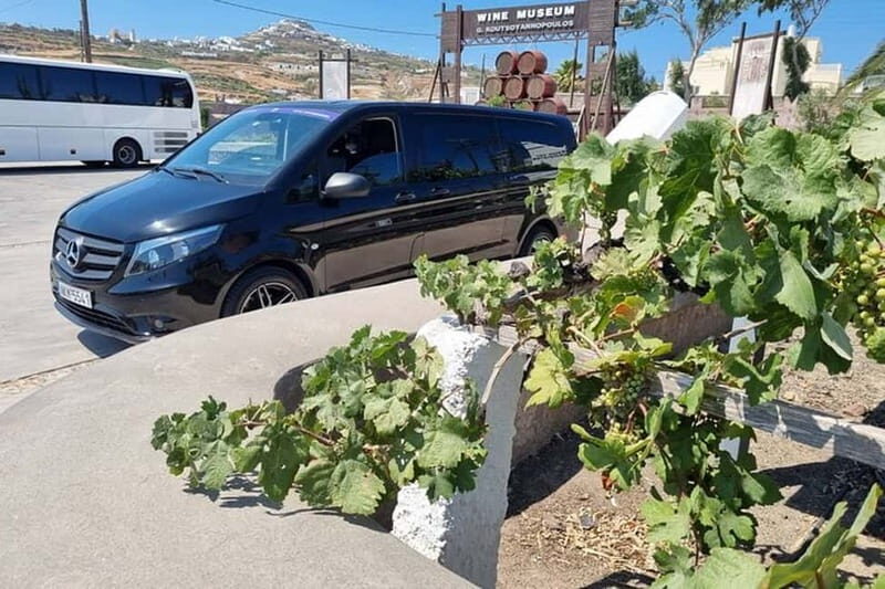 Santorini's "Wine Roads": Wine Tasting Tour at 3 Wineries - First Stop: The Santorini Wine Museum