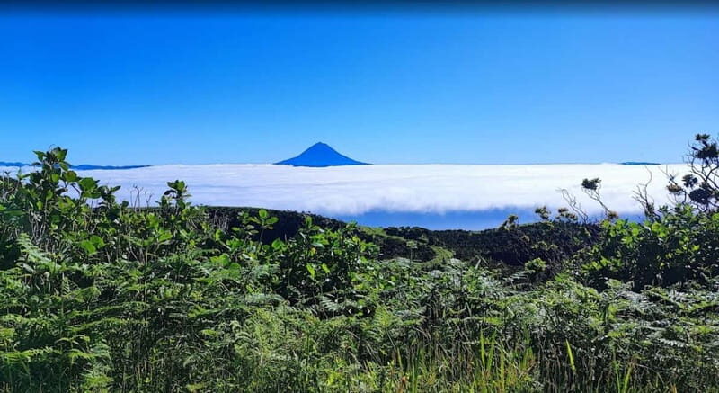 São Jorge Island Panoramic Adventure  4 Hour Tour - What’s Included and What’s Not