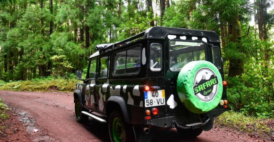 São Miguel Island: Full Day Furnas and Furnas Lake Tour - Transportation and Group Size