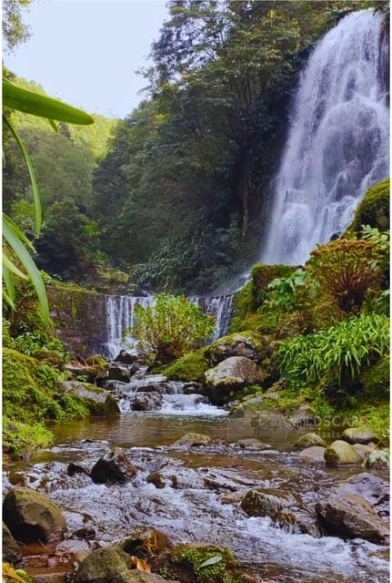 São Miguel: Majestic North Tour (Waterfalls w/Lunch) - Practical Details: What You Need to Know