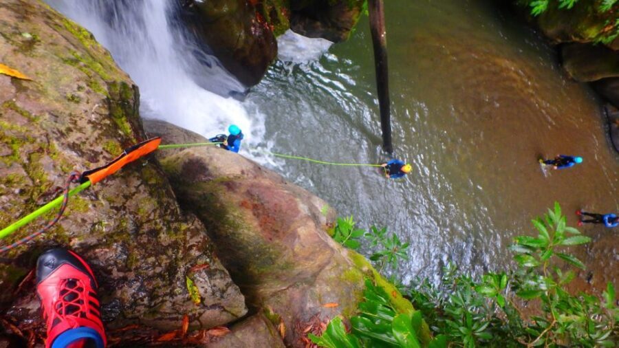 Sao Miguel: Salto do Cabrito Guided Canyoning Experience - Who Will Love This Tour?