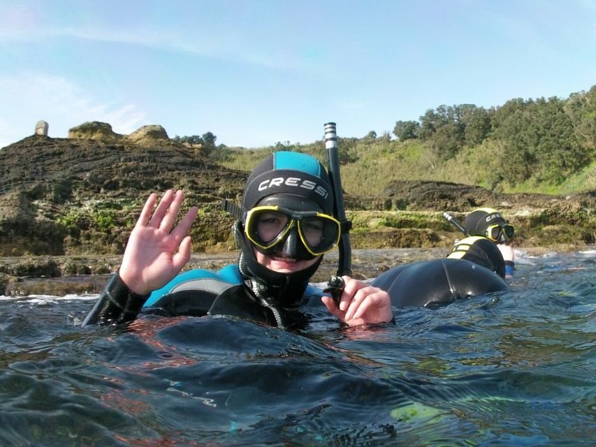 Sao Miguel: Snorkeling around Vila Franca do Campo - The Value of the Tour