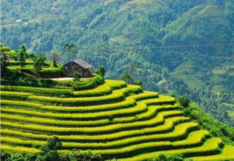Sapa: Guided Full-Day Trekking Muong Hoa Valley with Lunch - Key Points