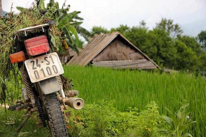 Sapa Motorbike Tour 1 Day| See All Of Rice Fields & Valleys in One Day - A Deep Dive Into the Sapa Motorbike Tour Experience