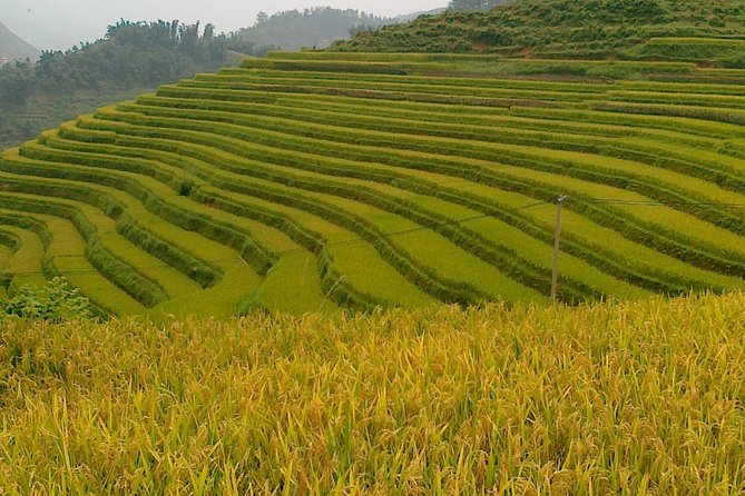 Sapa tours - The Itinerary in Detail
