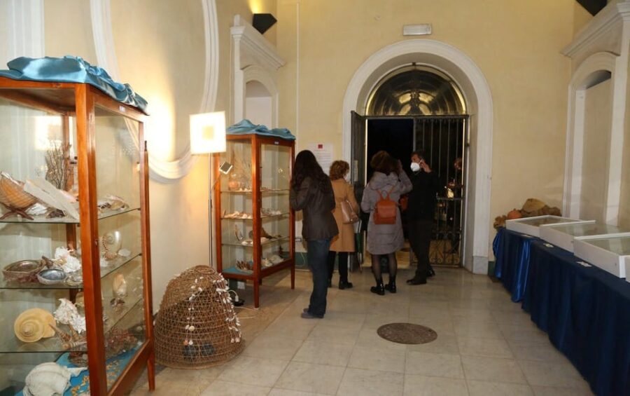 Sassari: visit the Sea and Water Ecomuseum - Exploring the Itinerary in Detail