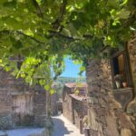 Schist Villages and medieval castles tour - Authentic Experiences and Overall Value