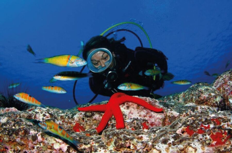 Scuba Diving Baptism in Caleta de Fuste - What Reviewers Say