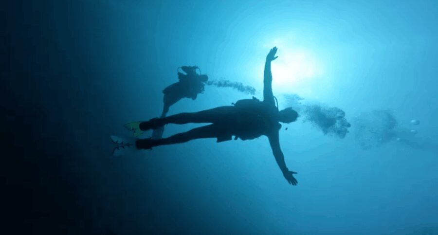 Scuba Diving - Dive for certified divers - Analyzing the Value