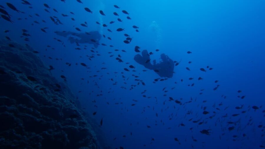 Scuba Diving Experience for Beginners In Greece - A Closer Look at the Experience