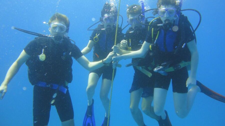 Scuba Diving Tour with Transfer From Alanya and city of Side - Underwater Highlights and Safety